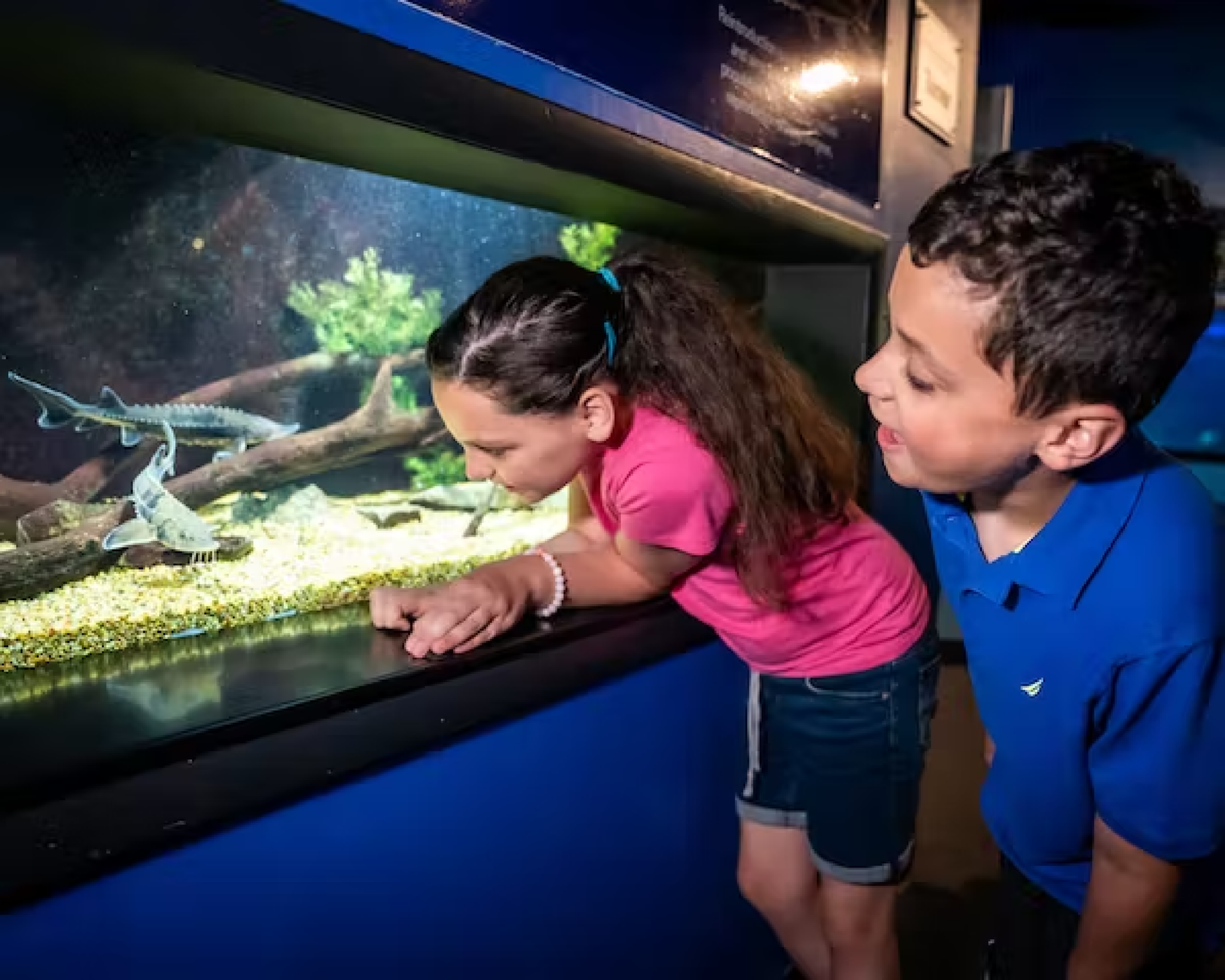 Field Trips - Aquarium of Niagara