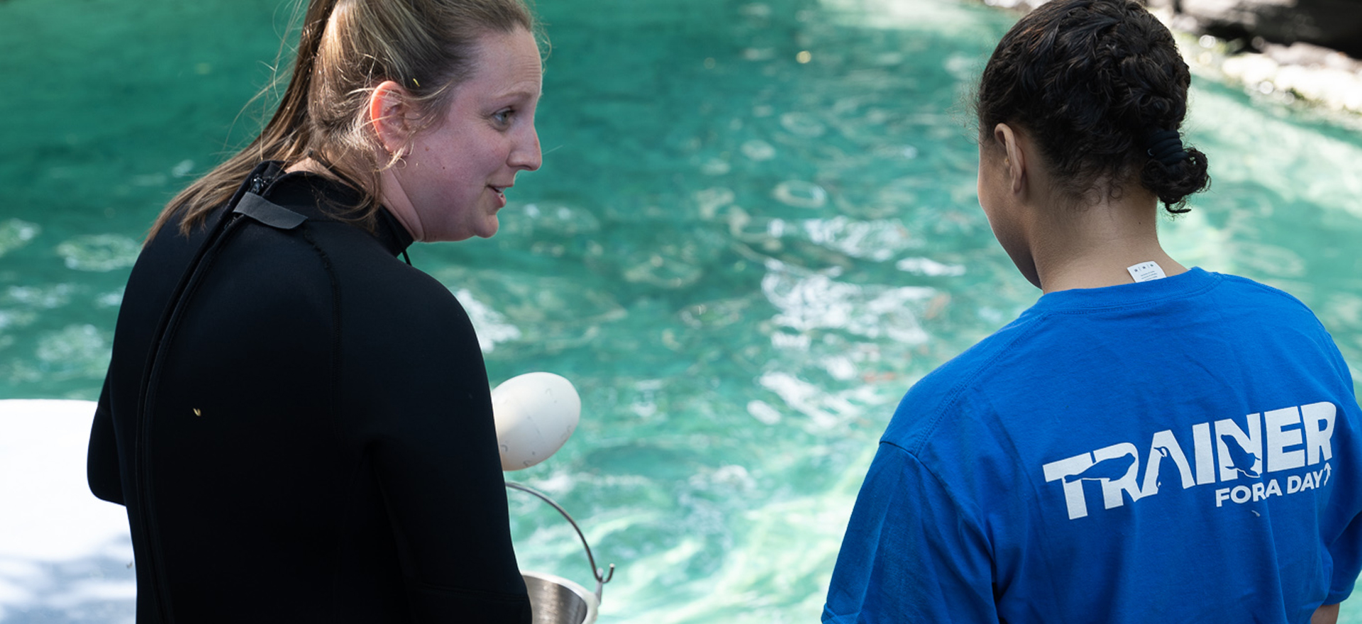 Trainer for a Day - Aquarium of Niagara