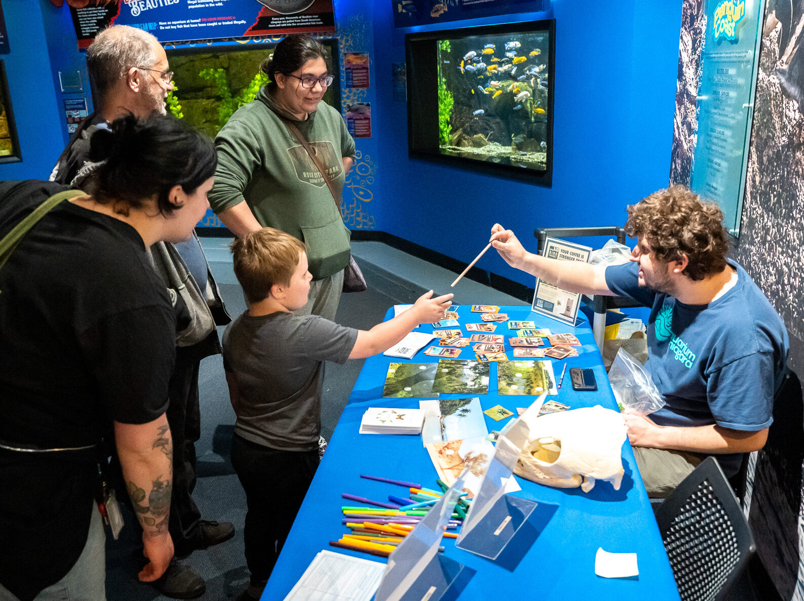 Intern: Education - Aquarium of Niagara