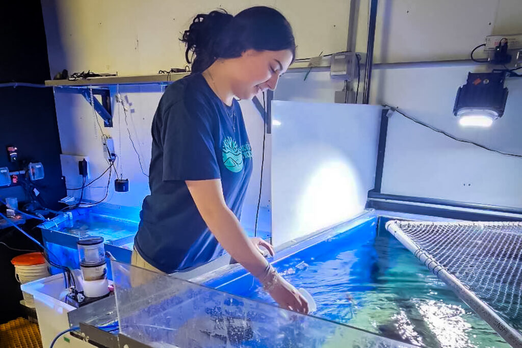 Intern - Aquarium of Niagara