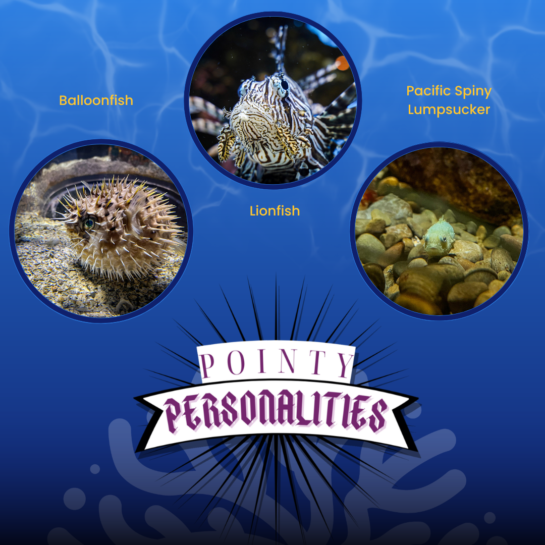 Traits & Talents Tournament - Aquarium of Niagara