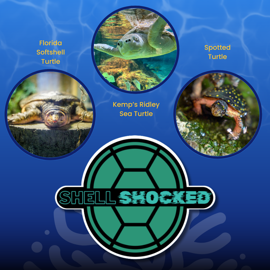 Traits & Talents Tournament - Aquarium of Niagara