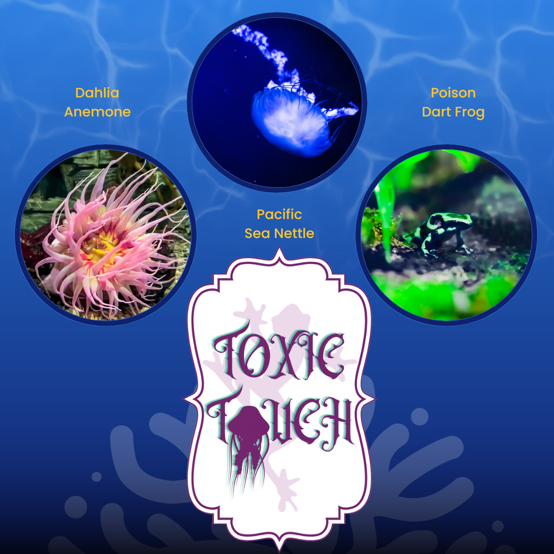 Traits & Talents Tournament - Aquarium of Niagara