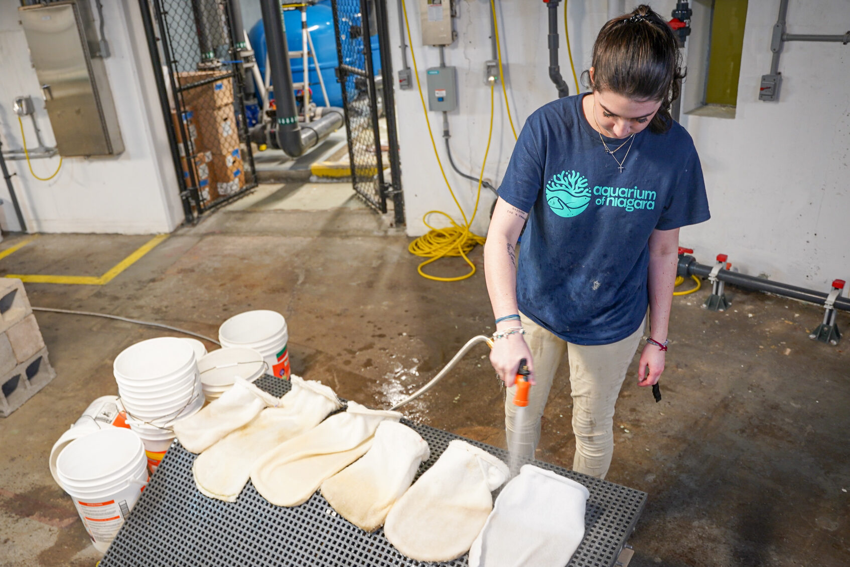 Intern: Fish & Invertebrates - Aquarium of Niagara