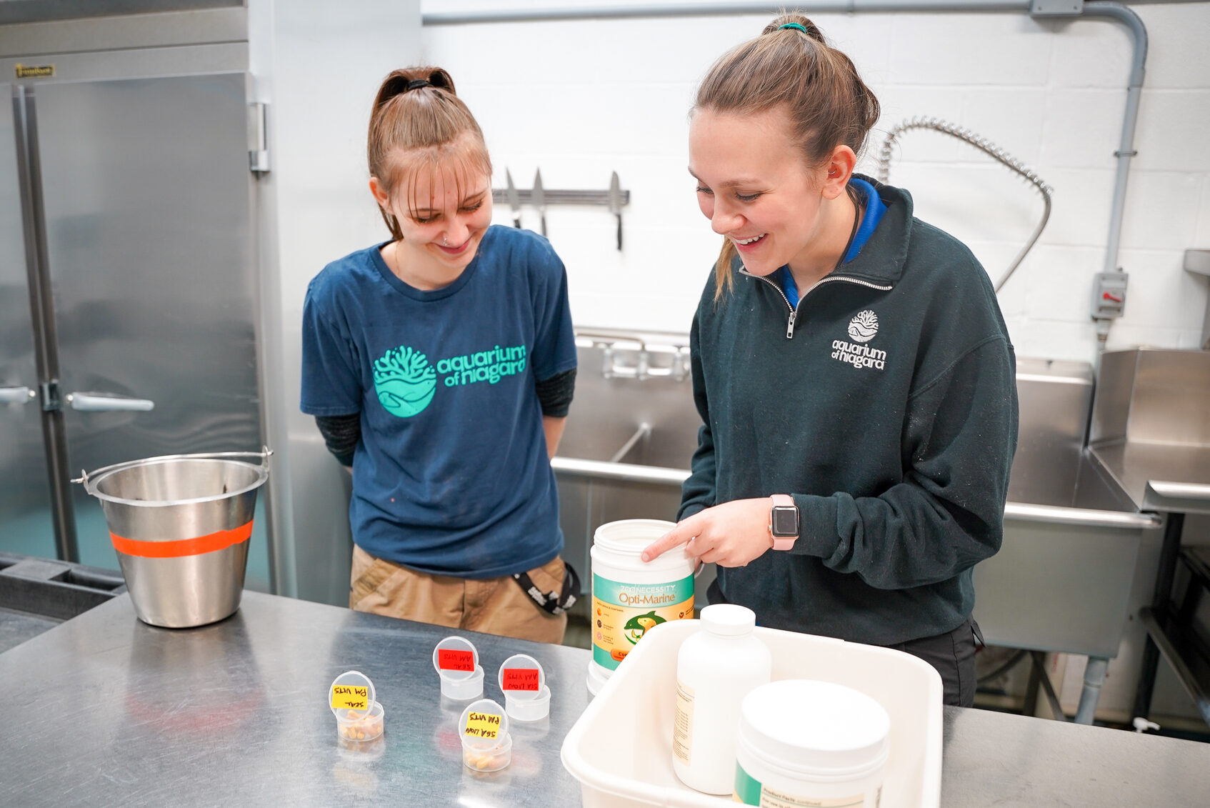 Intern: Marine Mammals & Birds - Aquarium of Niagara