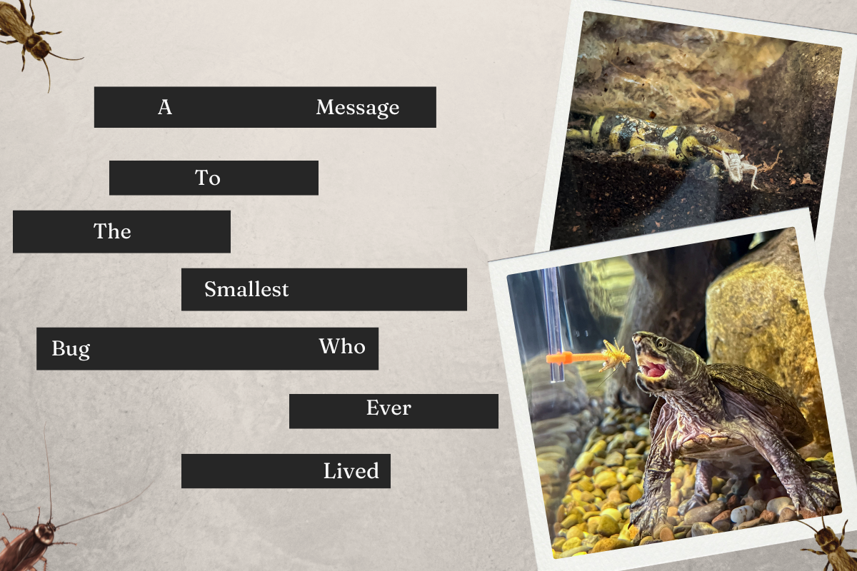 Home - Aquarium of Niagara